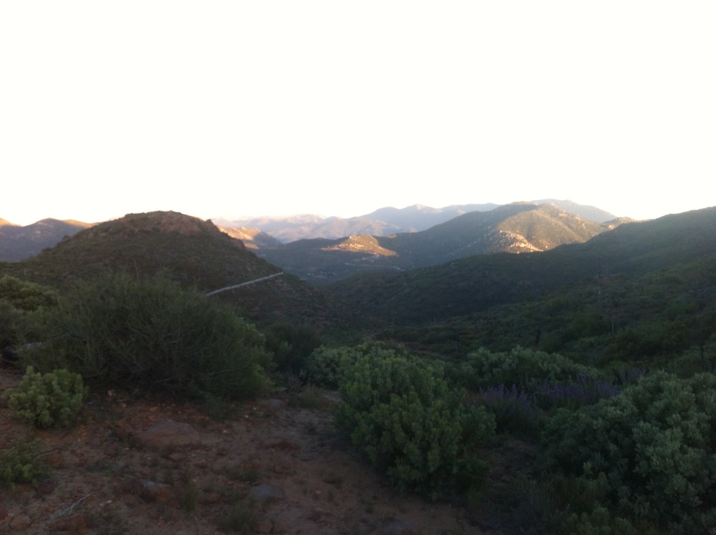 combs peak pics 34 - Hunter Walkabout