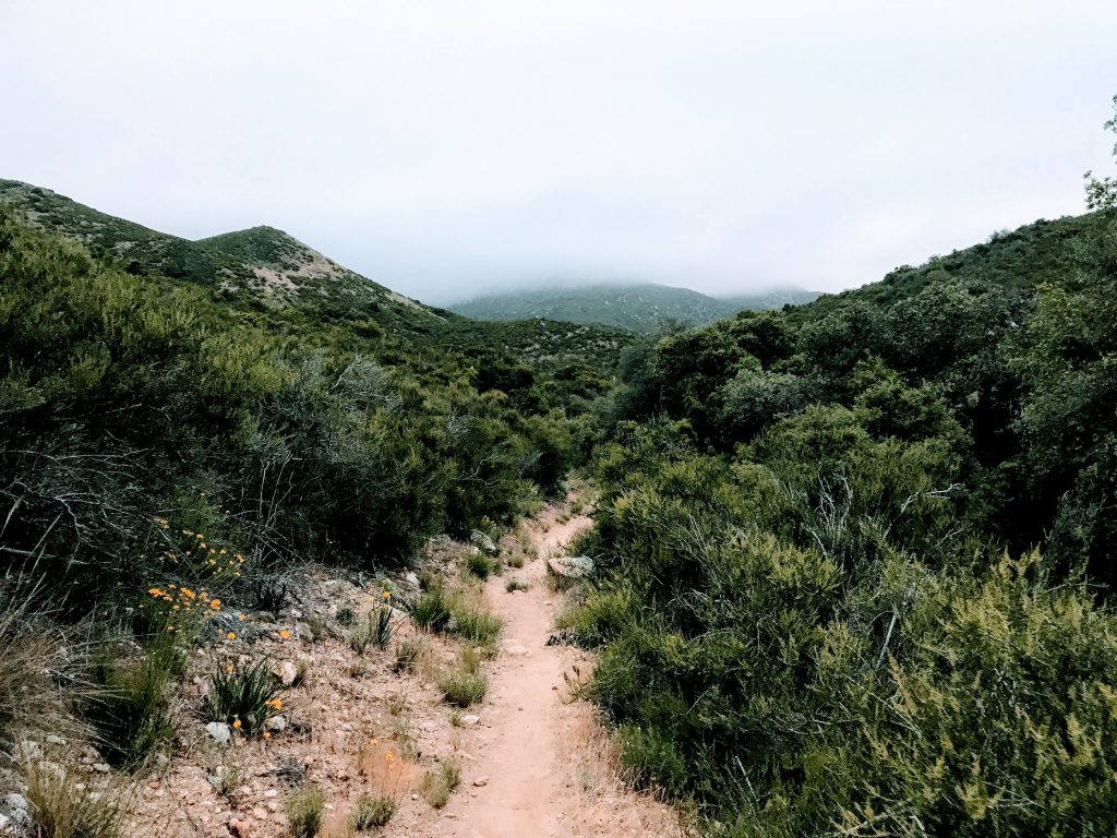 Scissors Crossing to Paradise Valley Cafe - Hunter Walkabout